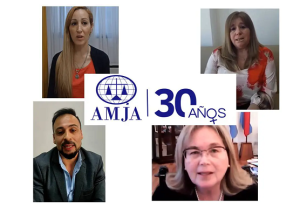AMJA: TRES DÉCADAS BREGANDO POR UNA JUSTICIA CON PERSPECTIVA DE GÉNERO ...